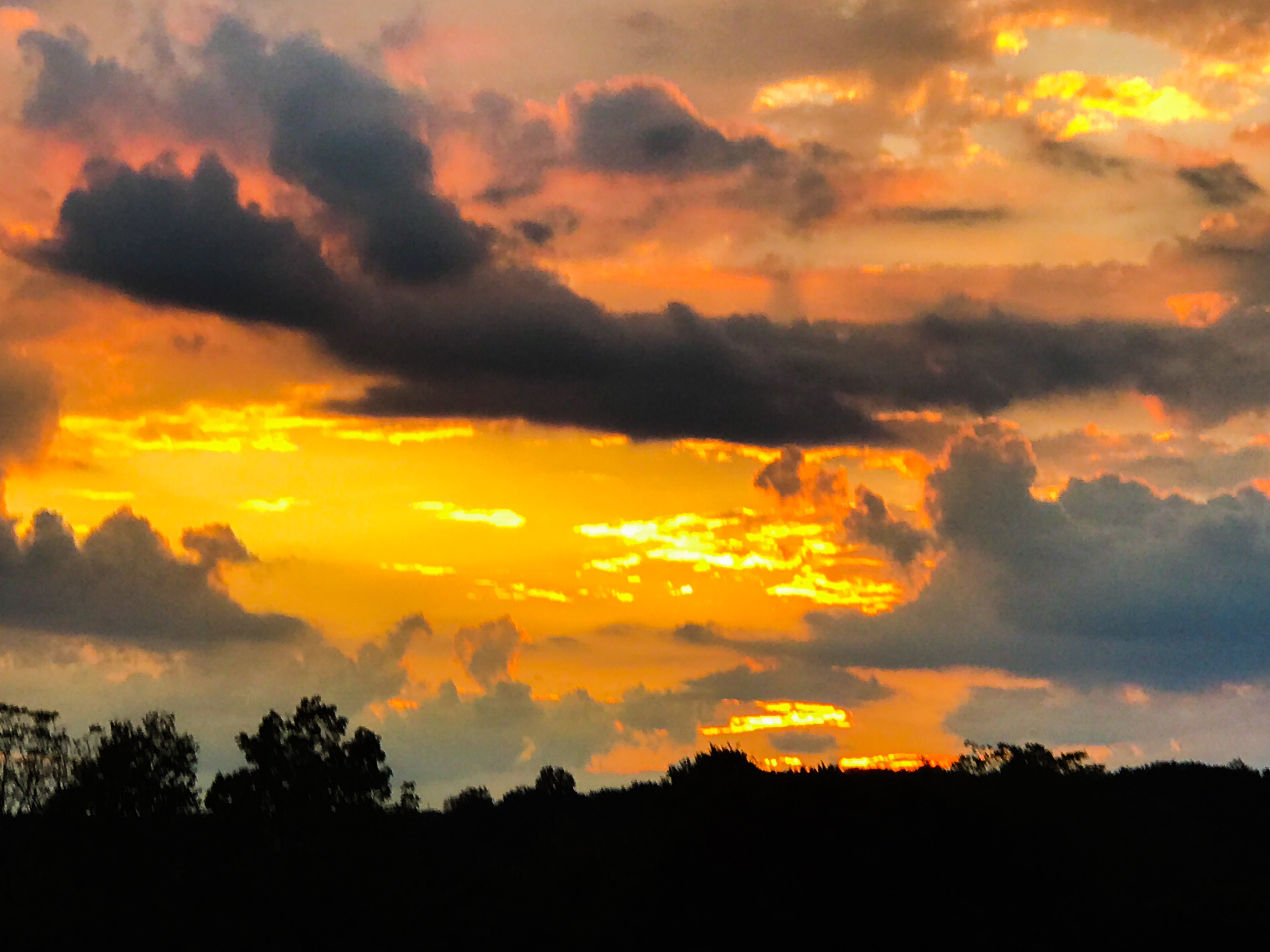 Photo of the Day - Sugunag's Blog