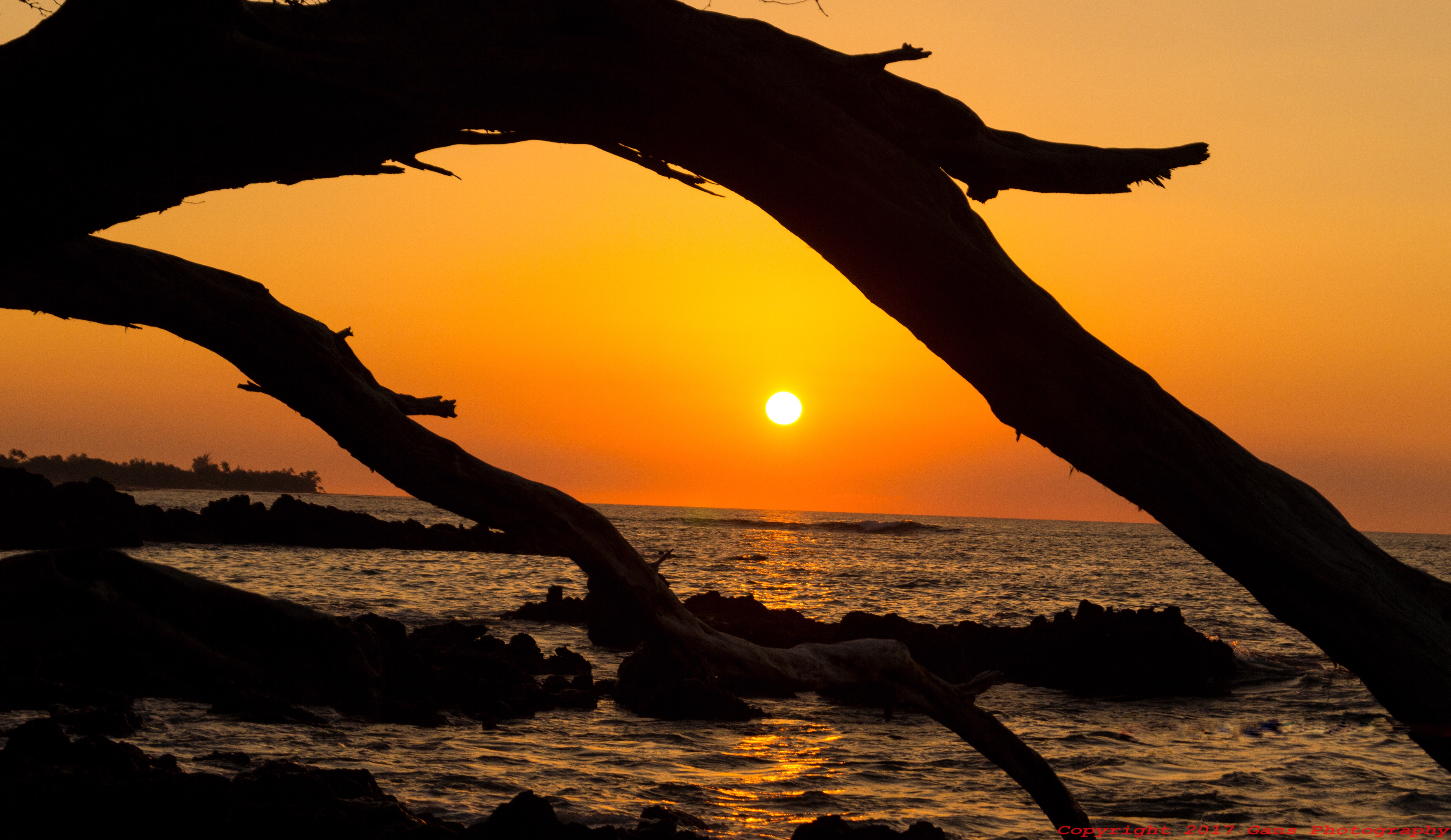 Exceptional photos – Sugunag's Blog